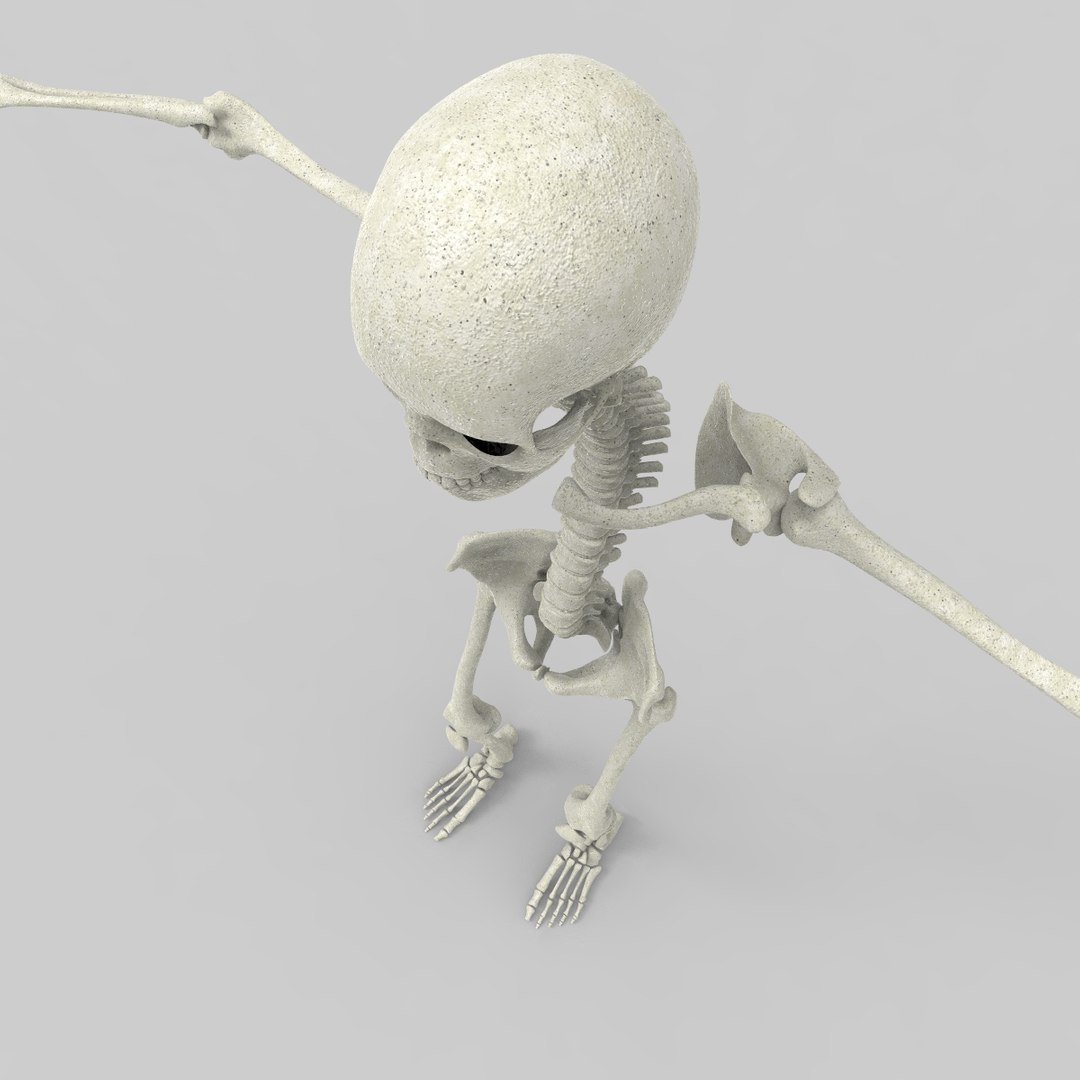 Skeleton Max