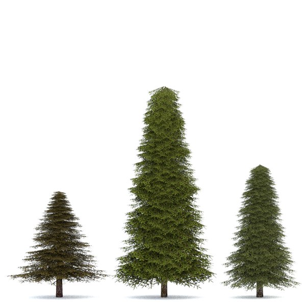 Fir Tree Blender Models for Download | TurboSquid