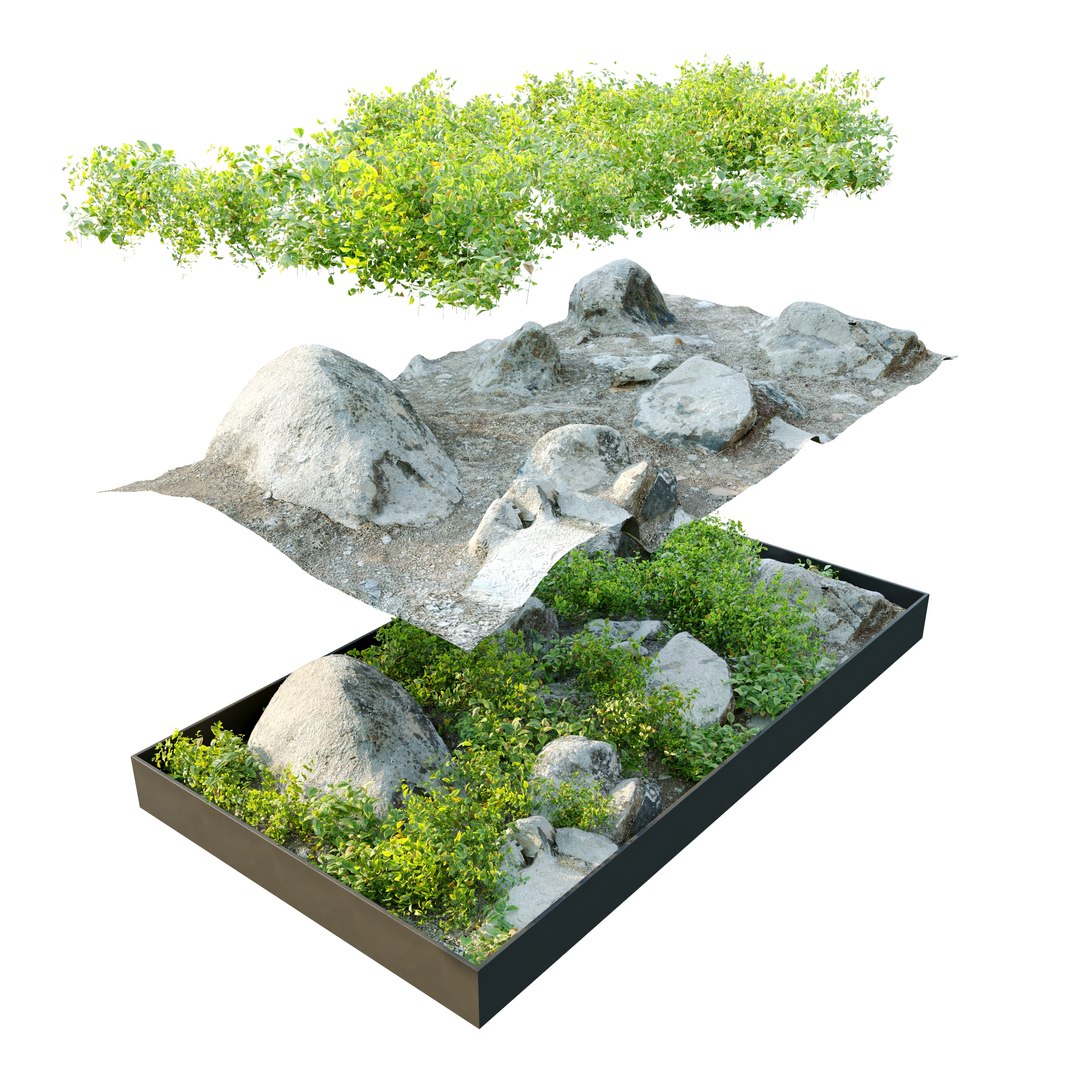Plants In Rocky Base 3D Model - TurboSquid 1954183