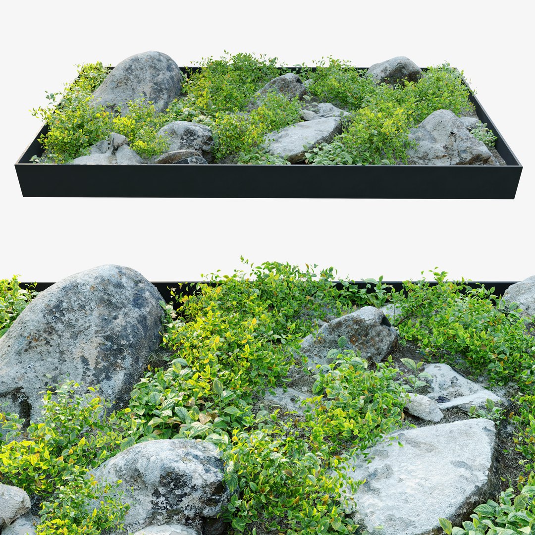Plants In Rocky Base 3D Model - TurboSquid 1954183
