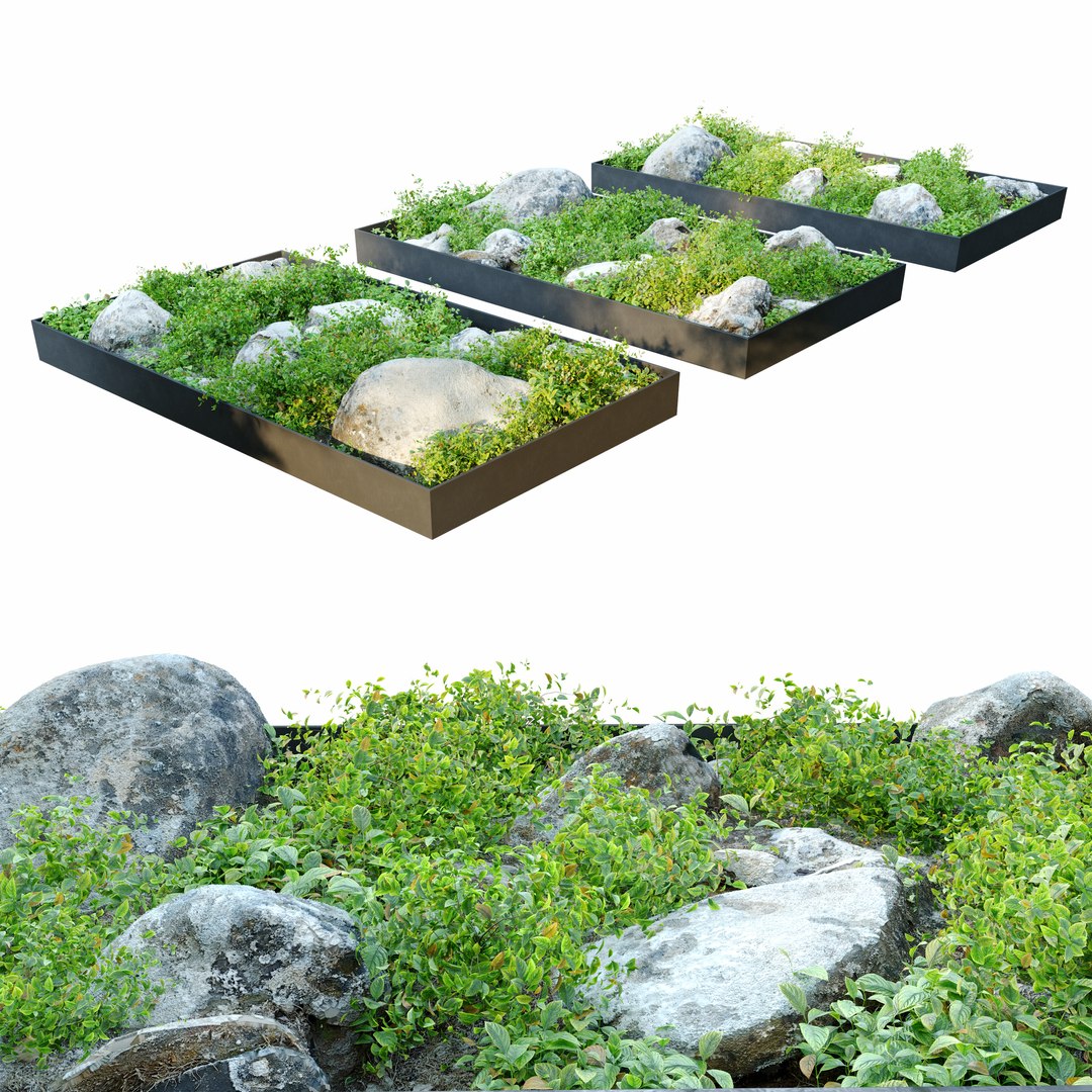 Plants In Rocky Base 3D Model - TurboSquid 1954183