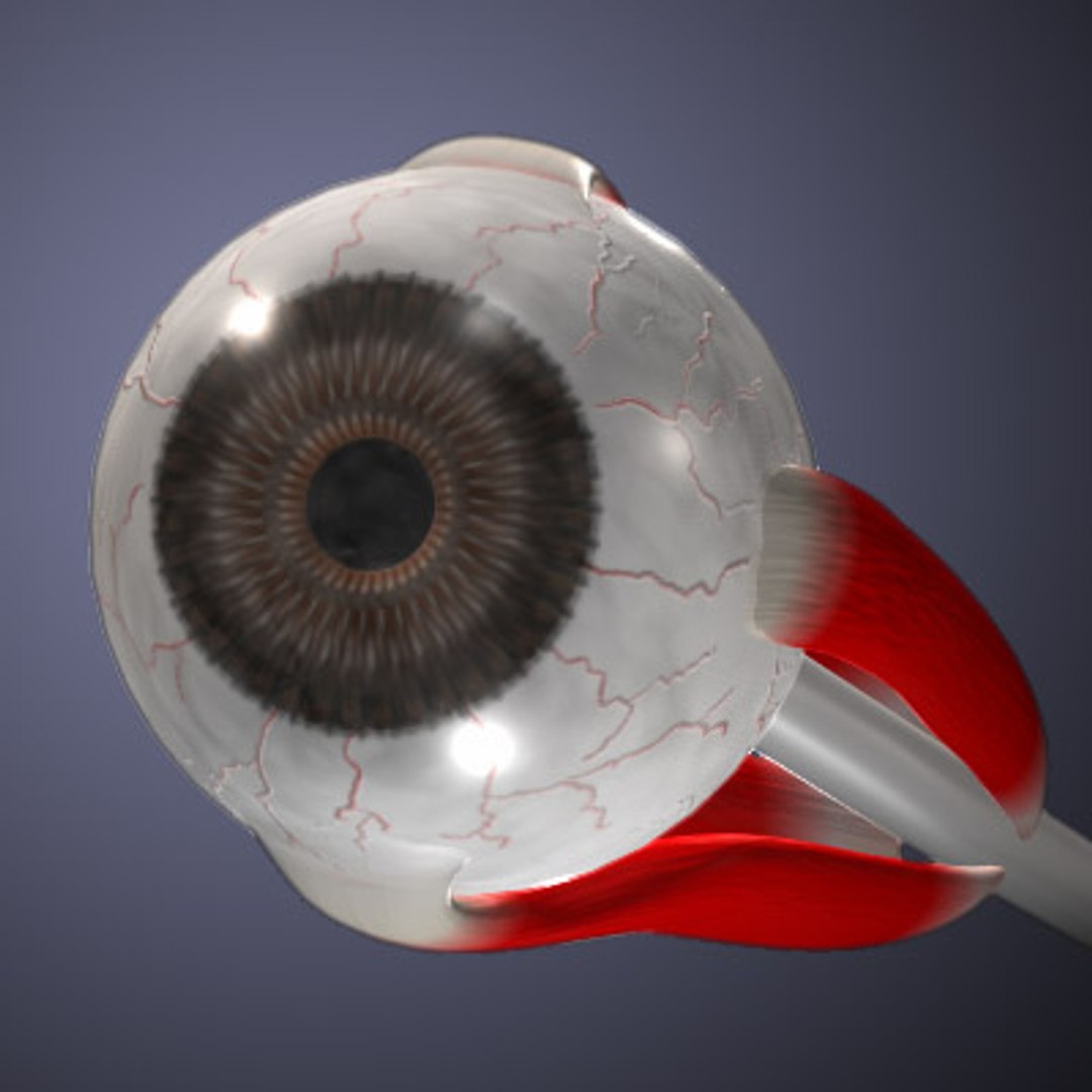 Maya Eye