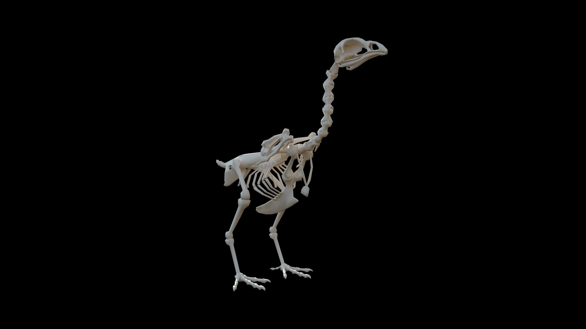 3D Low Poly Hen Skeleton - TurboSquid 1981047