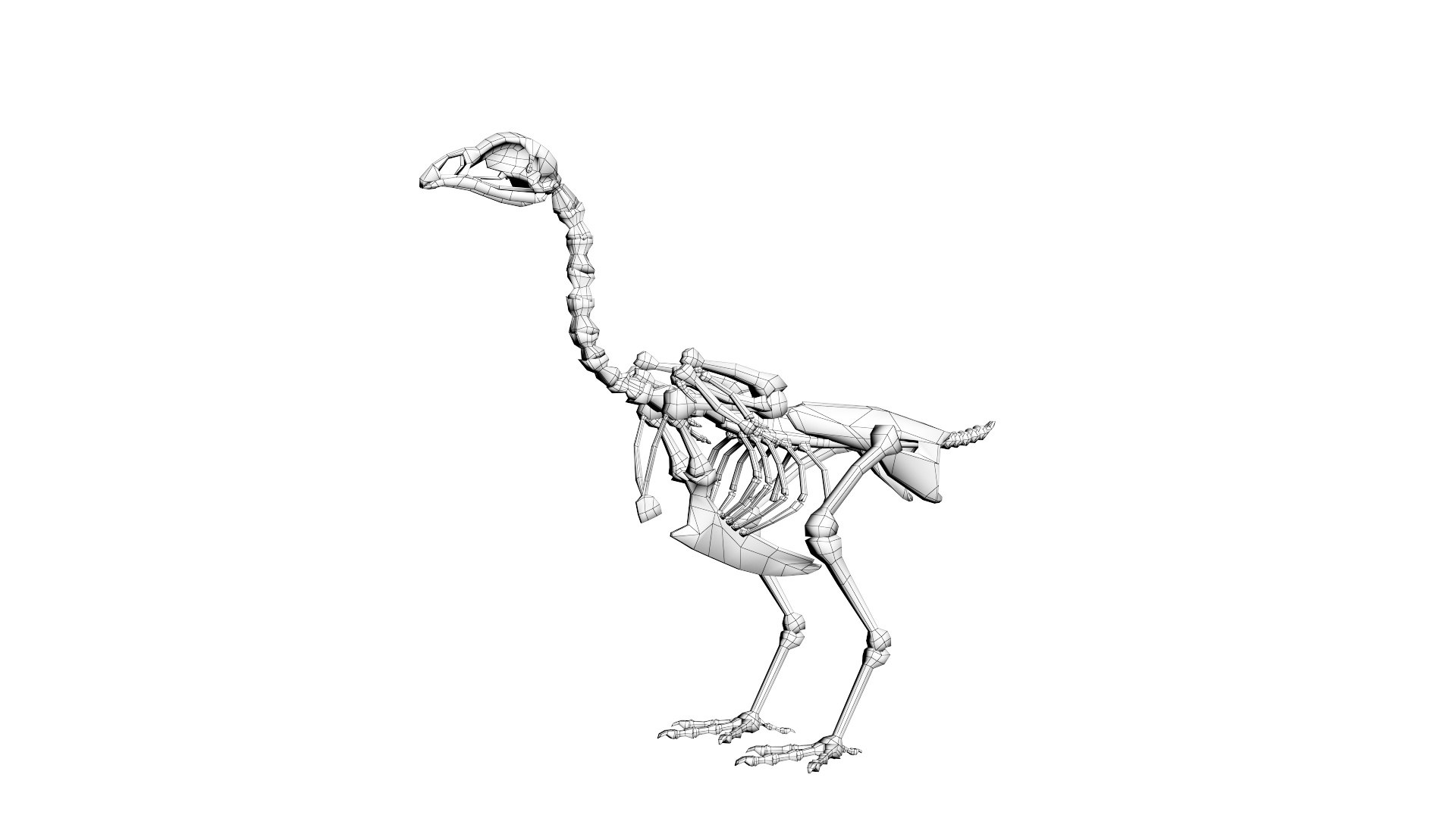 3D Low Poly Hen Skeleton - TurboSquid 1981047