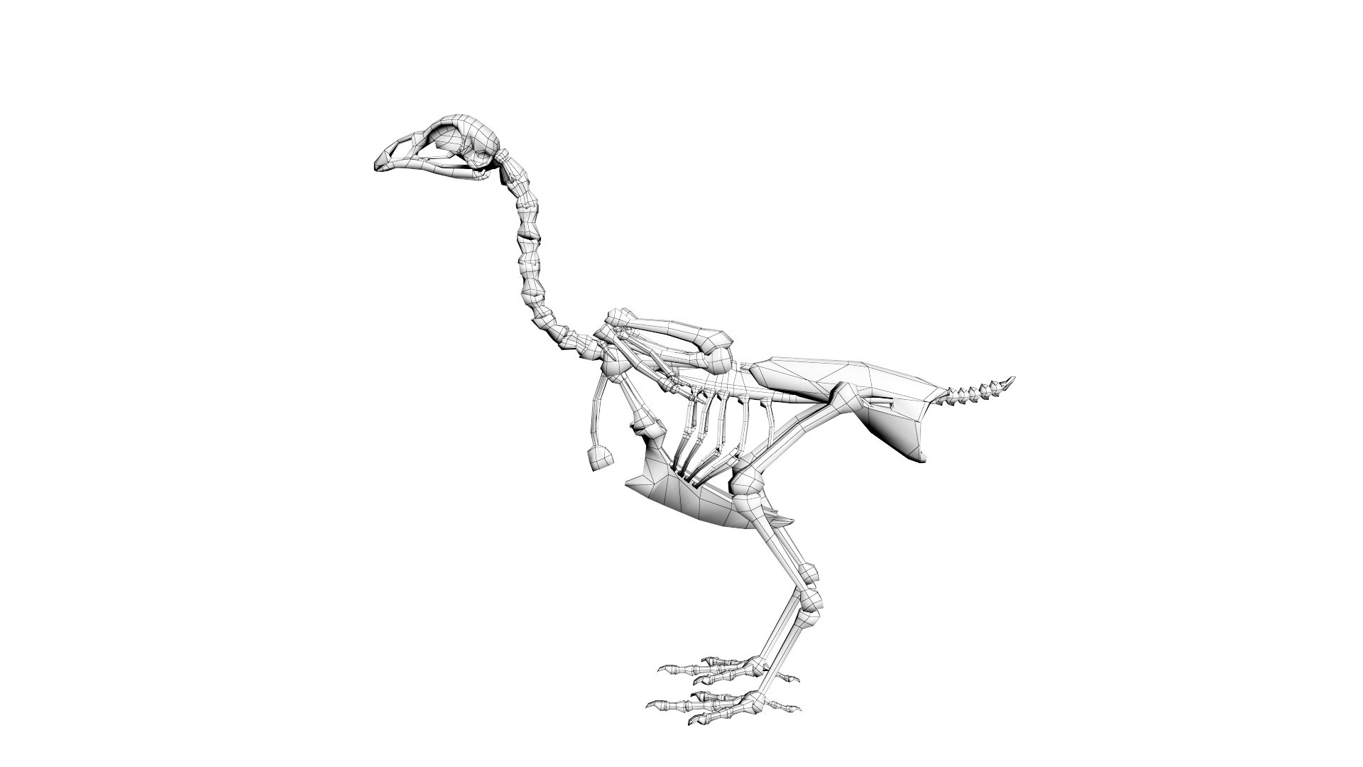 3D Low Poly Hen Skeleton - TurboSquid 1981047