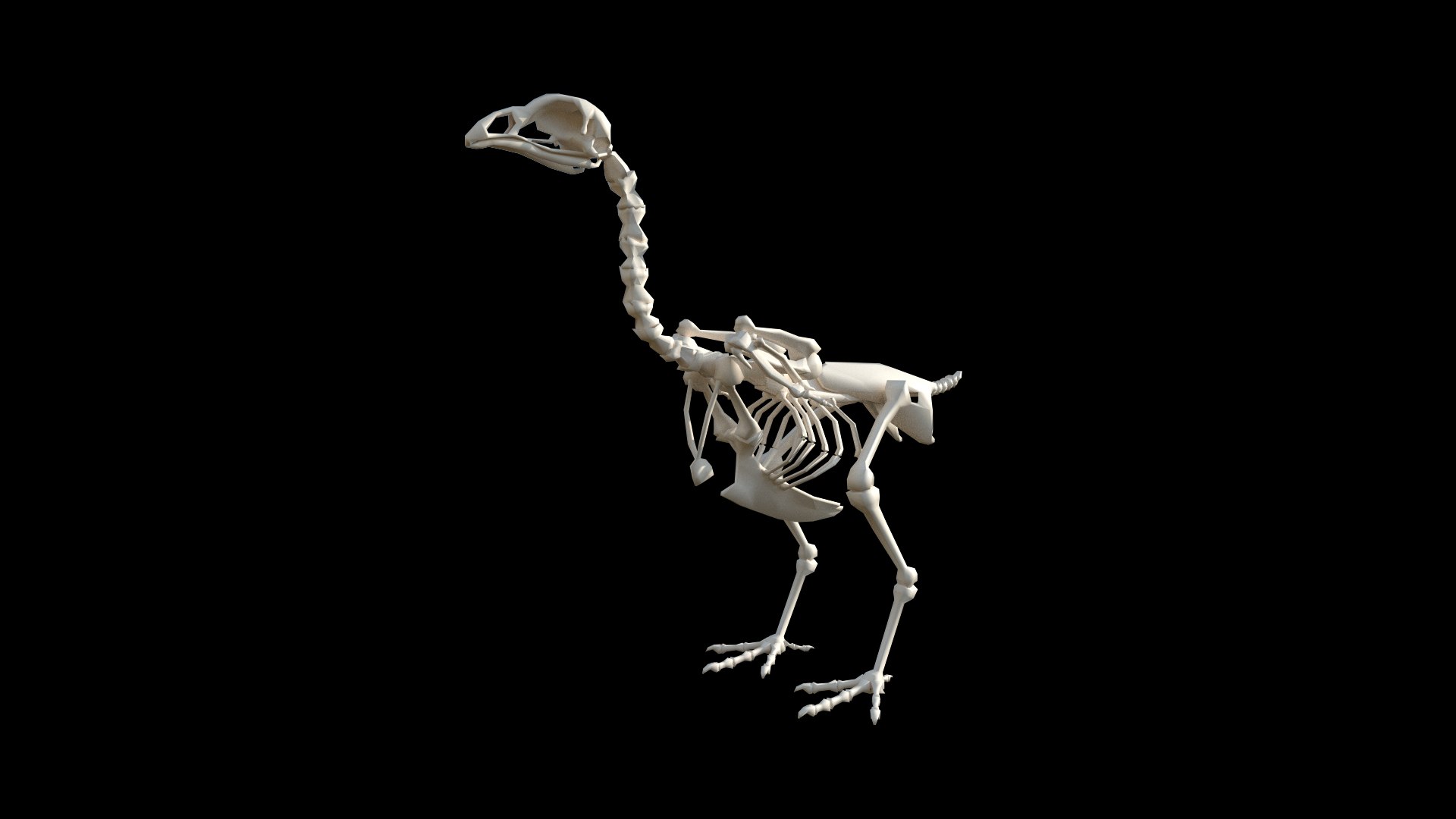 3D Low Poly Hen Skeleton - TurboSquid 1981047