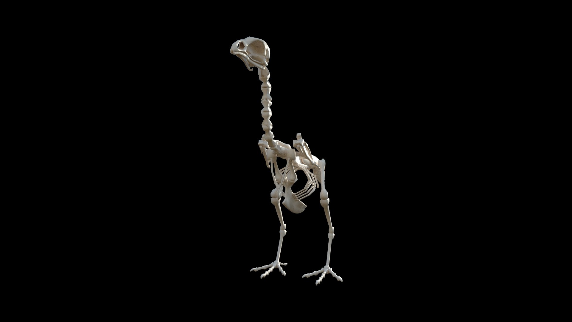 3D Low Poly Hen Skeleton - TurboSquid 1981047