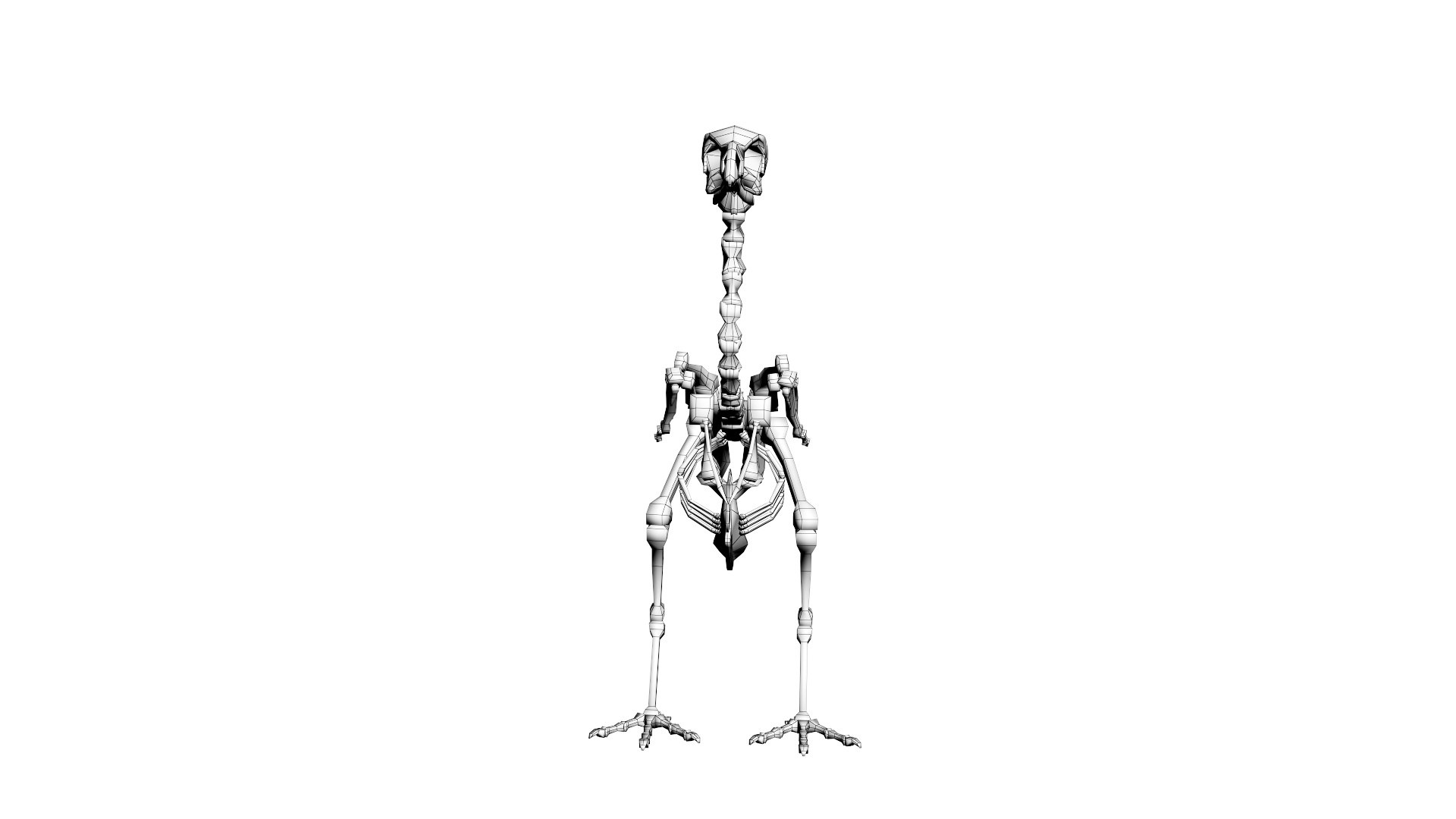 3D Low Poly Hen Skeleton - TurboSquid 1981047