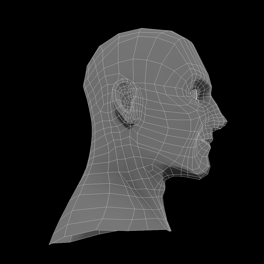 3D Base Human Head Model - TurboSquid 1303583