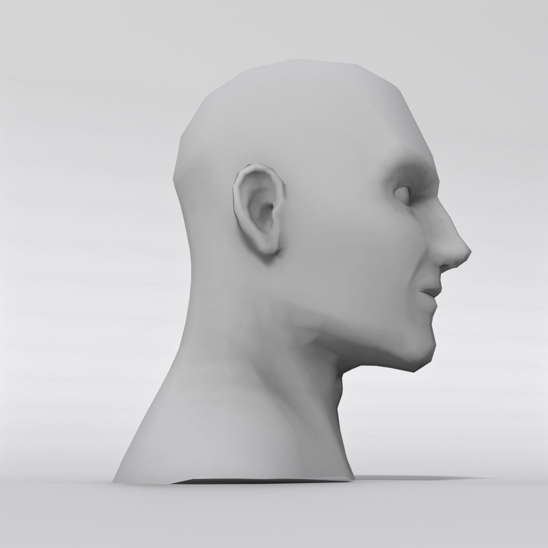 3D Base Human Head Model - TurboSquid 1303583