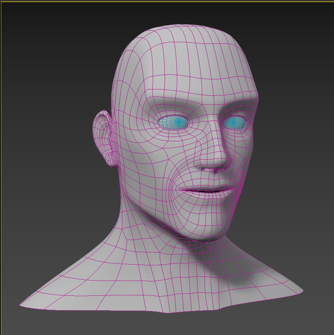 3D Base Human Head Model - TurboSquid 1303583
