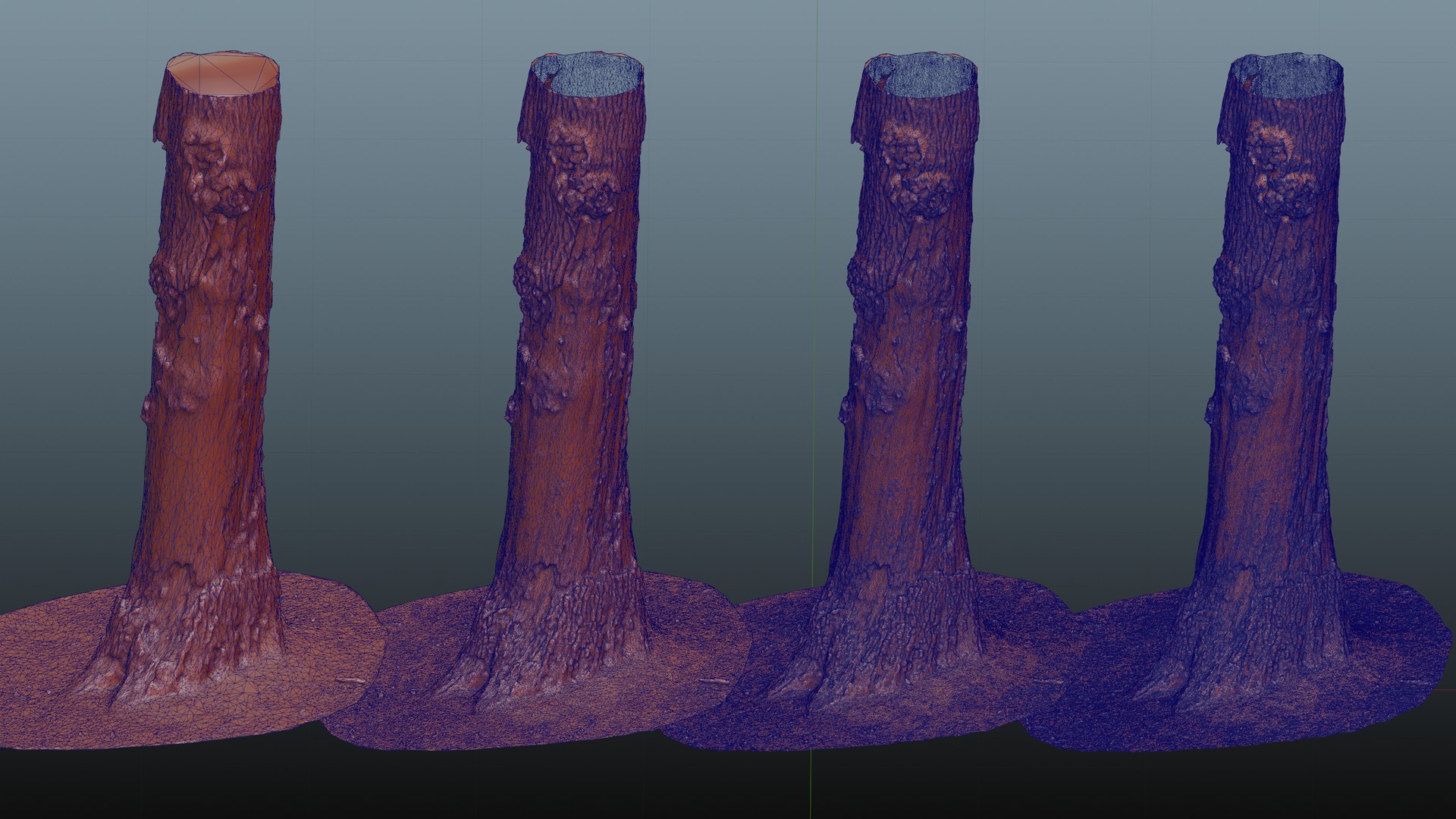 Tree Rotten Photogrammetry 3D Model - TurboSquid 1861986