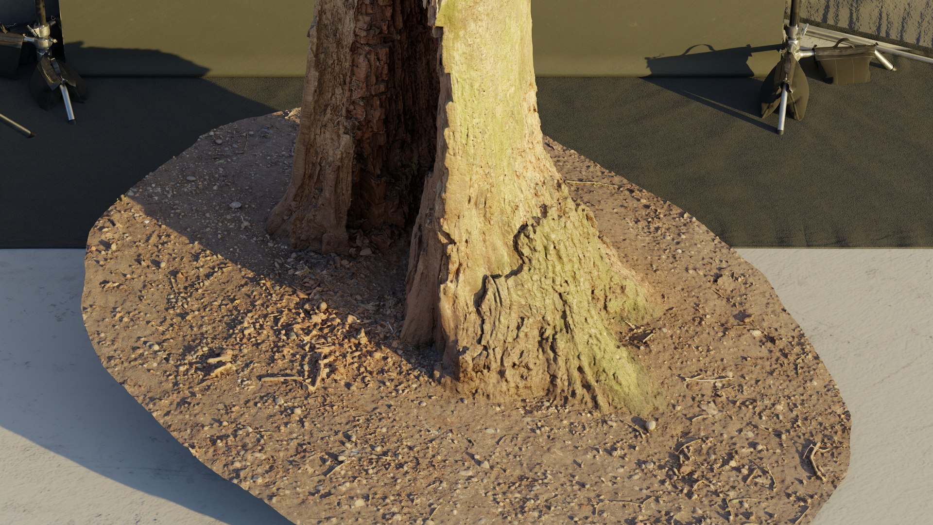 Tree Rotten Photogrammetry 3D Model - TurboSquid 1861986