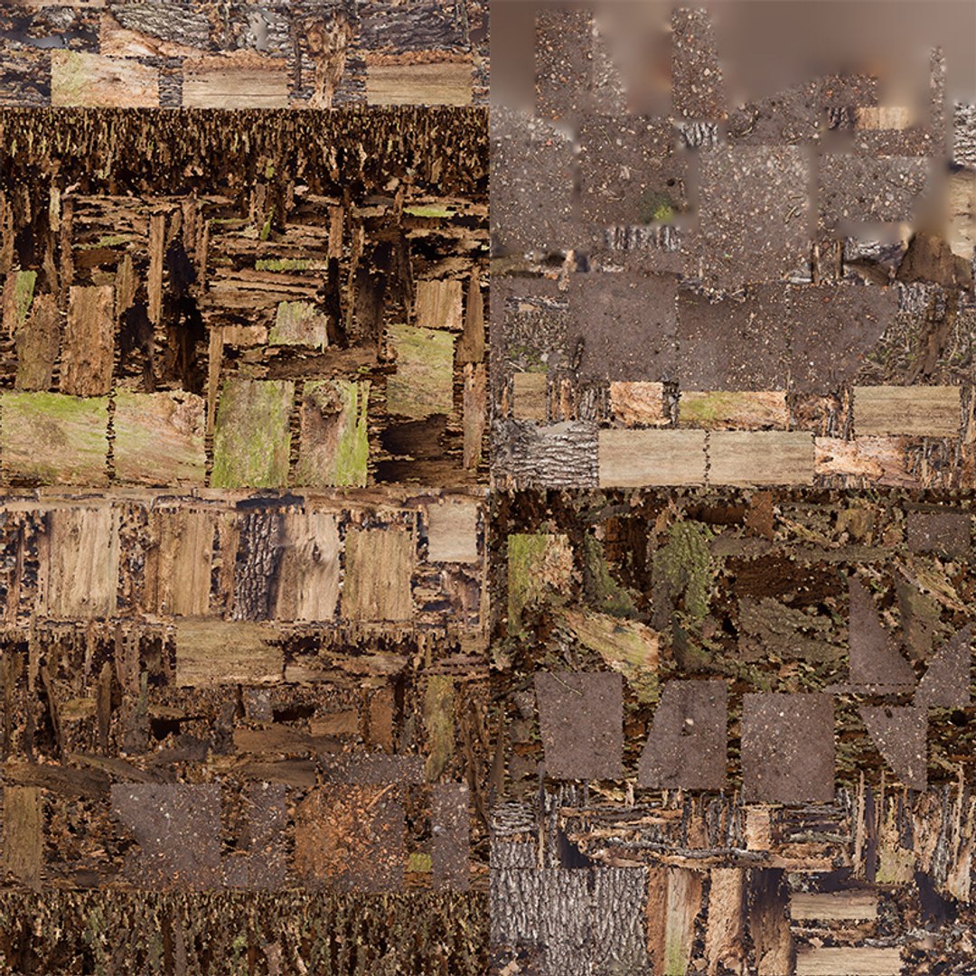 Tree Rotten Photogrammetry 3D Model - TurboSquid 1861986