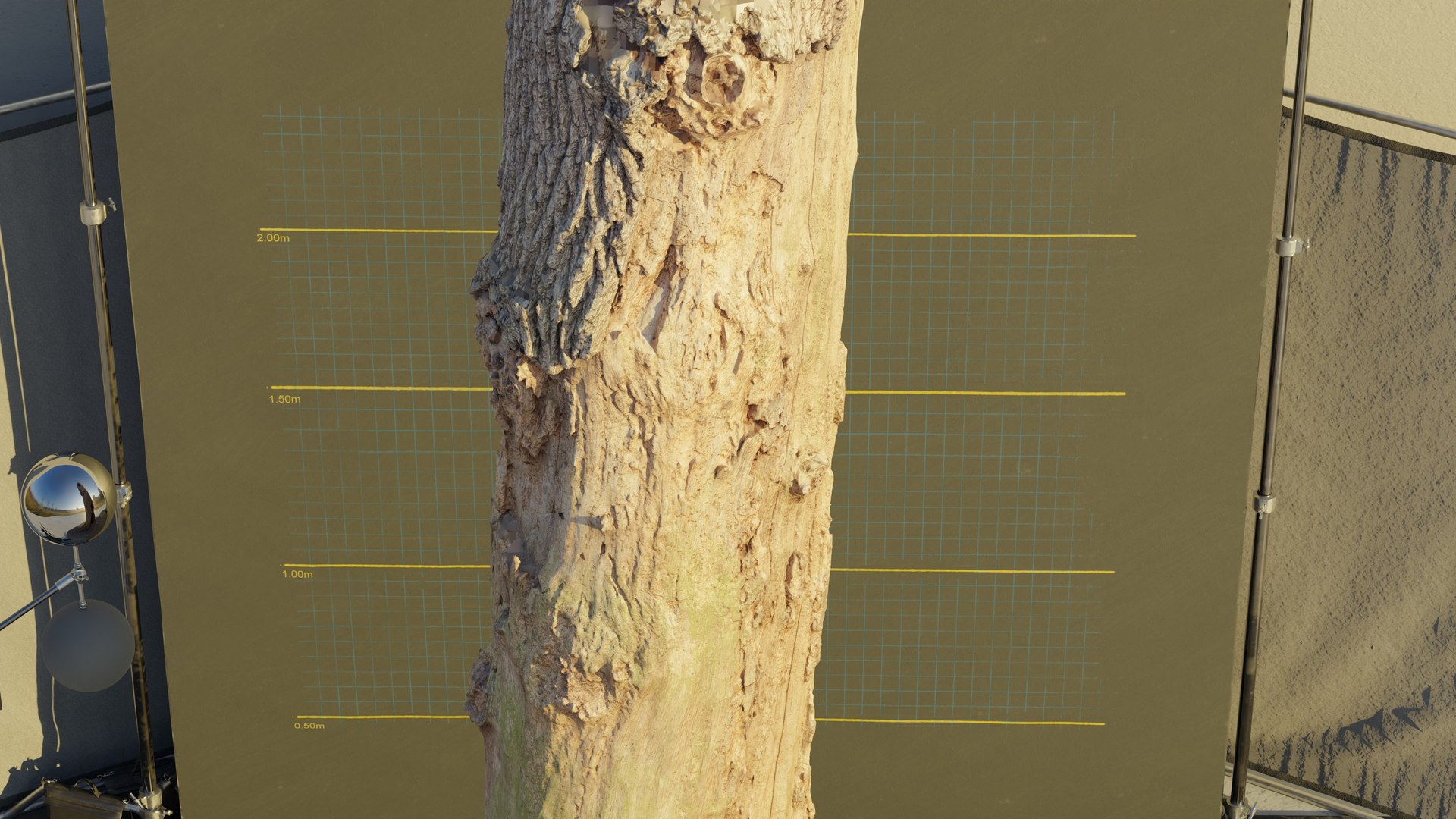 Tree Rotten Photogrammetry 3D Model - TurboSquid 1861986