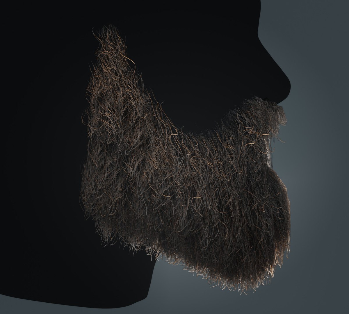 Beard RealTime 19 Version 2 3D Model - TurboSquid 1892396