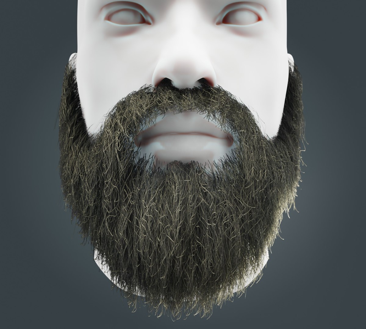 Beard RealTime 19 Version 2 3D Model - TurboSquid 1892396