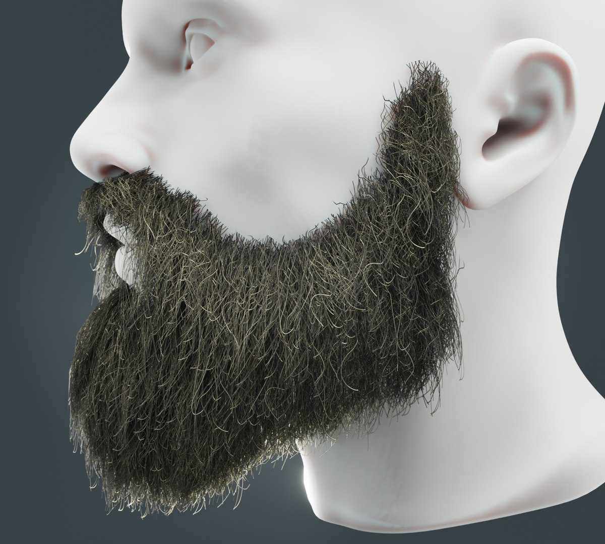 Beard RealTime 19 Version 2 3D Model - TurboSquid 1892396