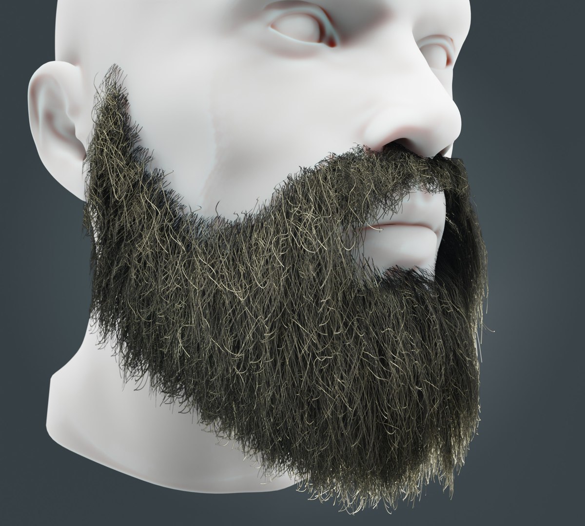 Beard RealTime 19 Version 2 3D Model - TurboSquid 1892396