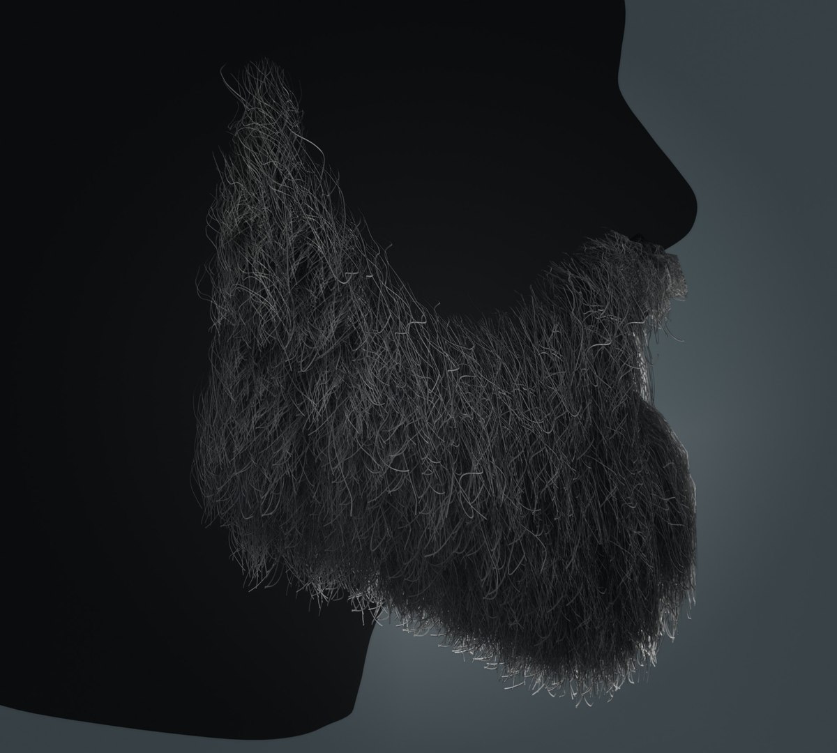 Beard RealTime 19 Version 2 3D Model - TurboSquid 1892396