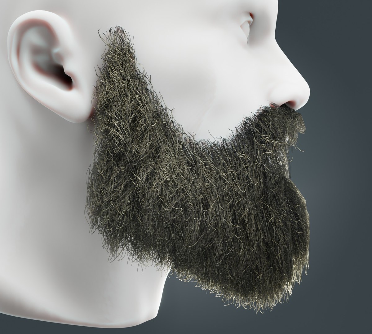 Beard RealTime 19 Version 2 3D Model - TurboSquid 1892396