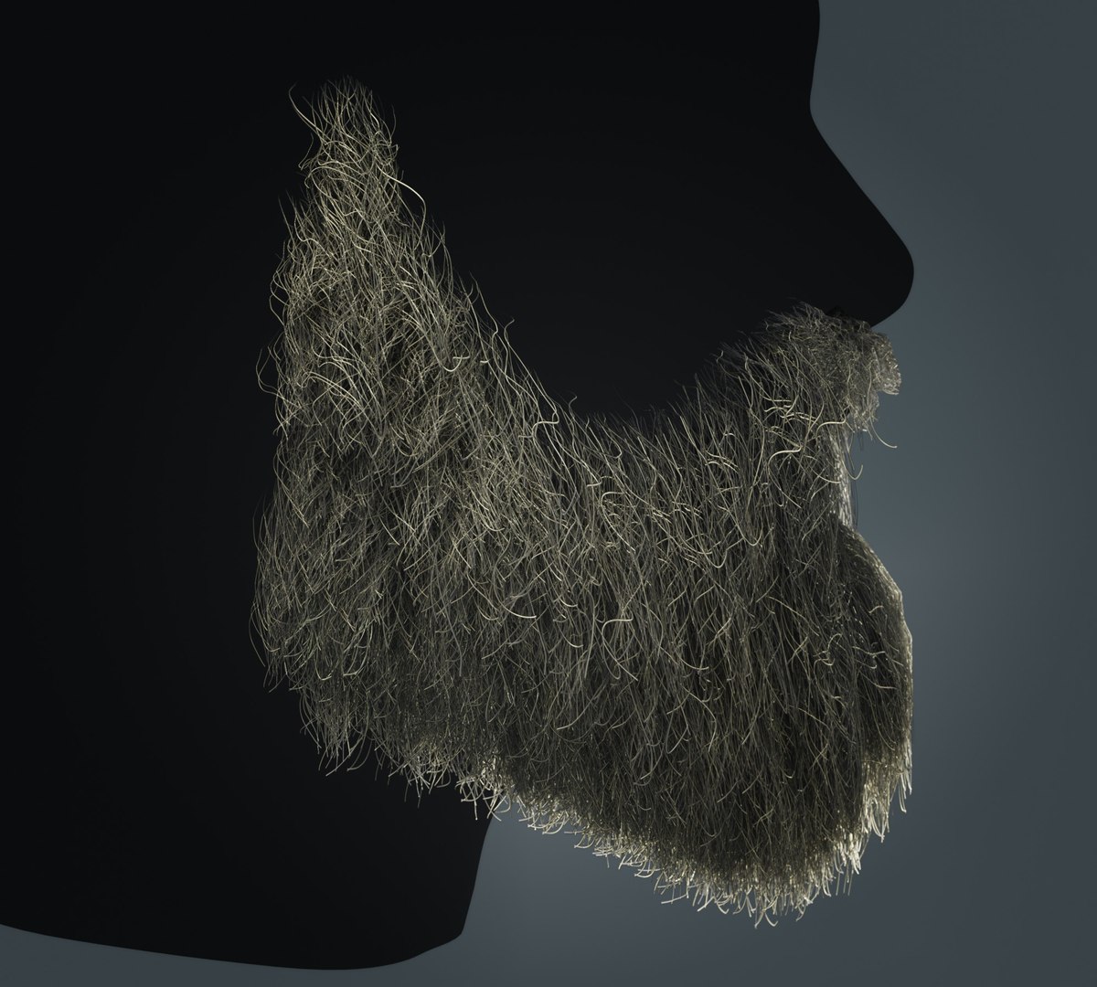 Beard RealTime 19 Version 2 3D Model - TurboSquid 1892396