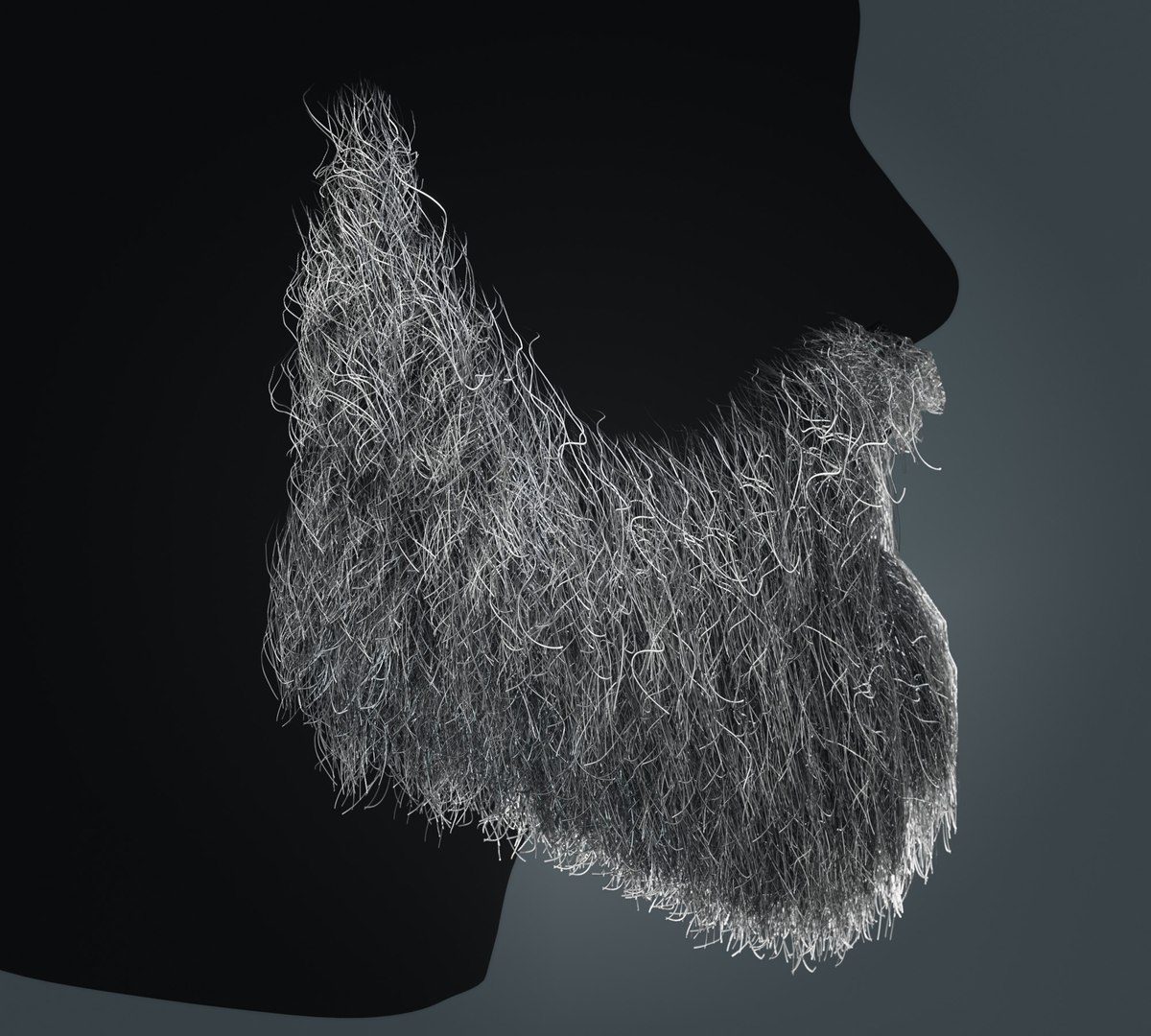 Beard RealTime 19 Version 2 3D Model - TurboSquid 1892396