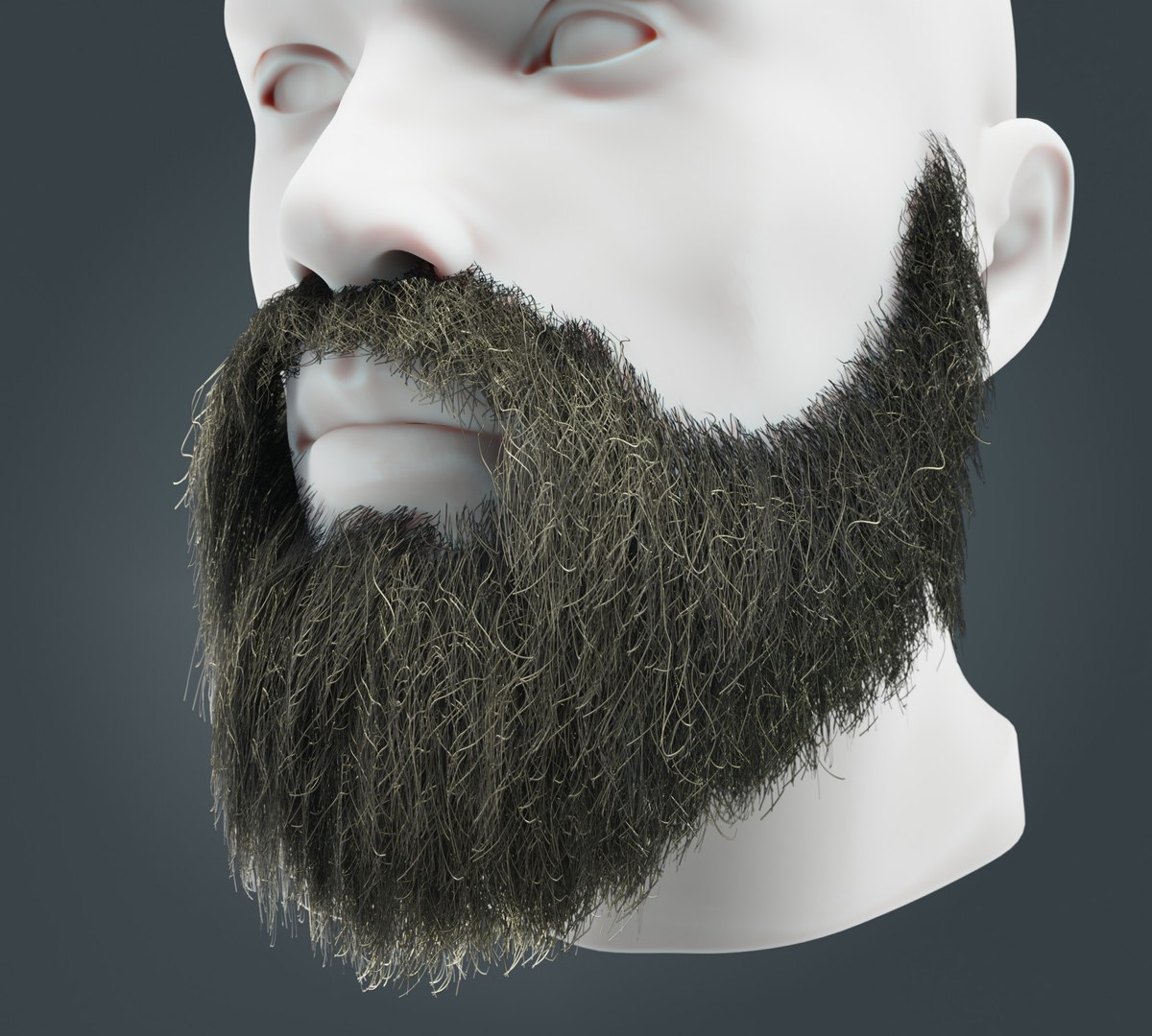 Beard RealTime 19 Version 2 3D Model - TurboSquid 1892396