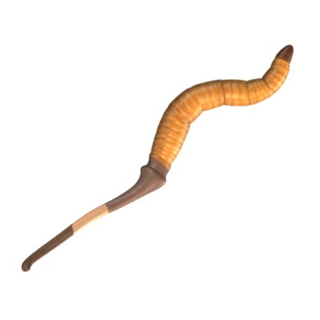 Worm 3d Model