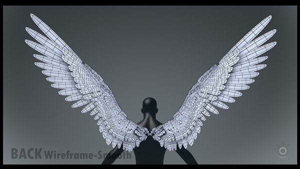 천사 날개 3D 모델 - TurboSquid 1240260