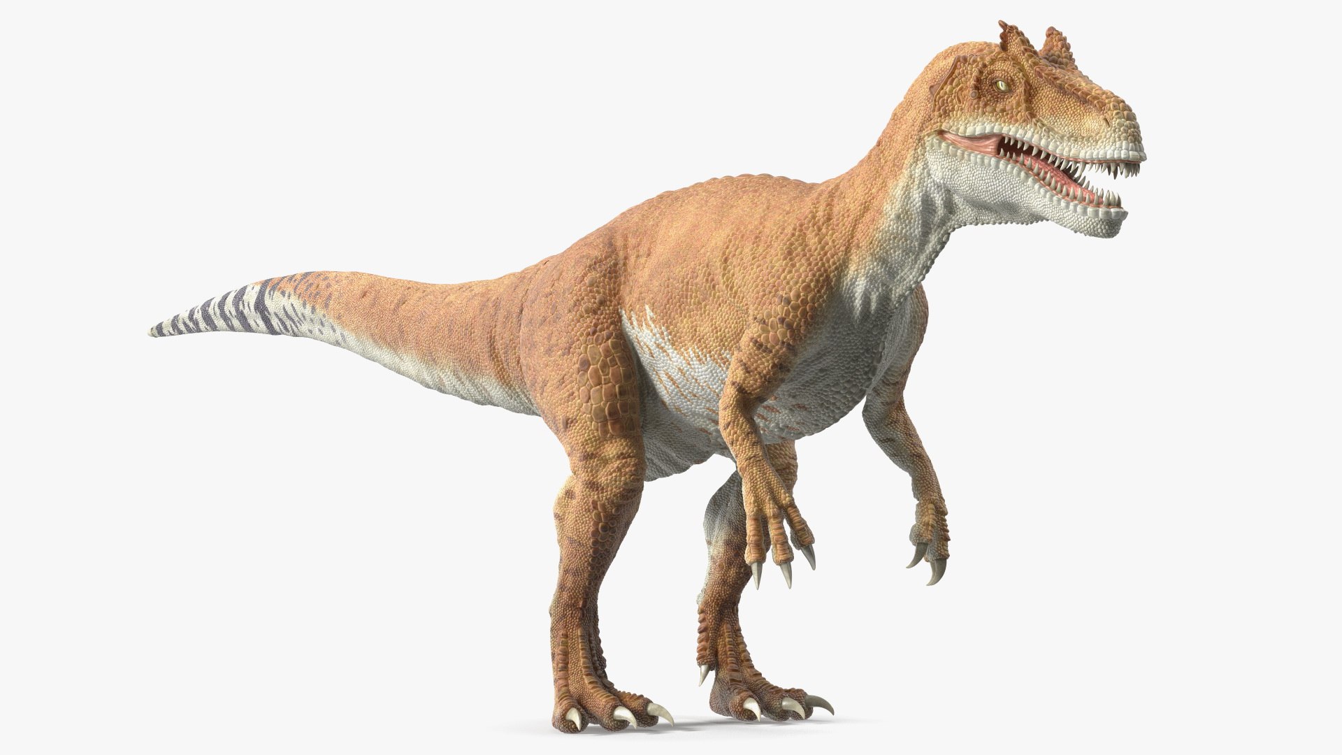 3D Model Allosaurus Yellow Coloring - TurboSquid 2158659