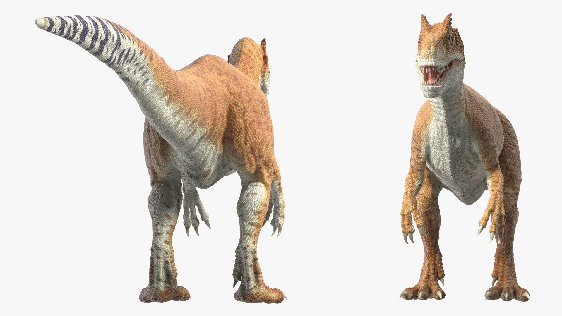 3D Model Allosaurus Yellow Coloring - TurboSquid 2158659