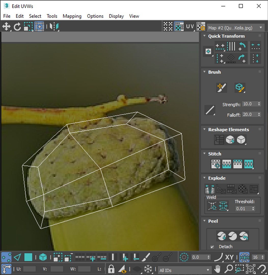 Acorn Model - TurboSquid 1854215