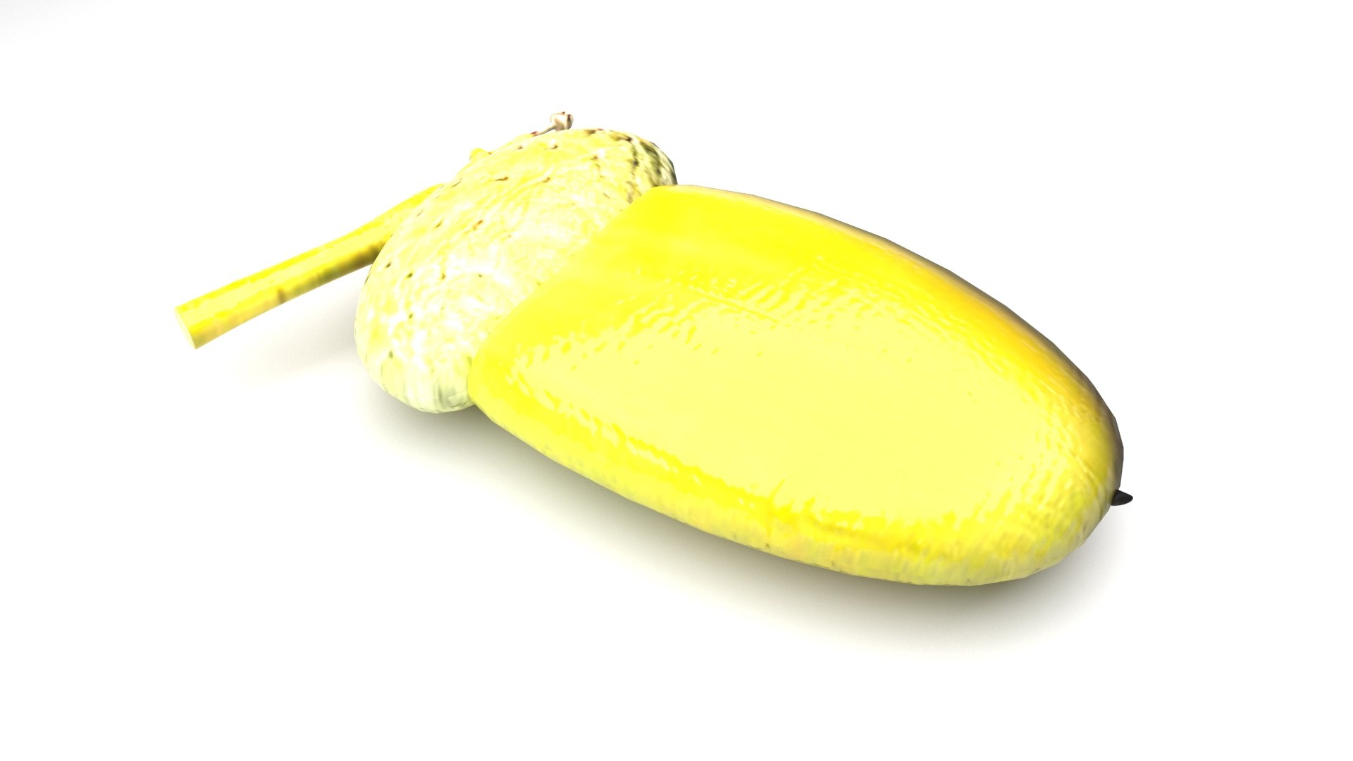 Acorn Model - TurboSquid 1854215