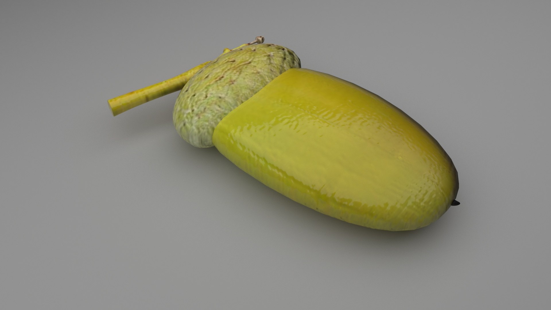 Acorn Model - TurboSquid 1854215