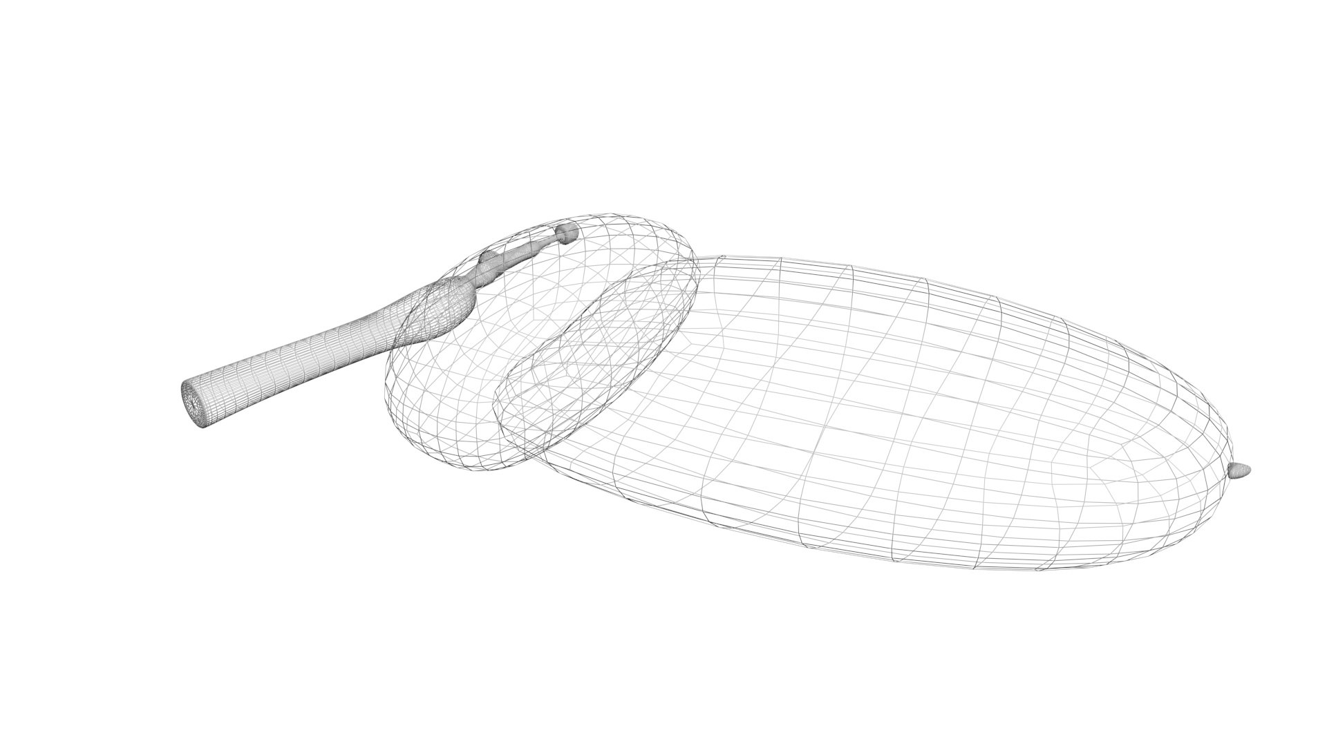 Acorn Model - TurboSquid 1854215