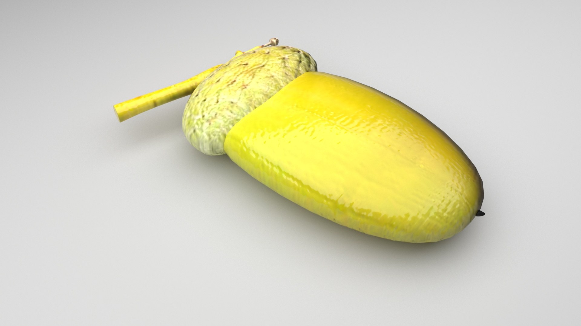 Acorn Model - TurboSquid 1854215