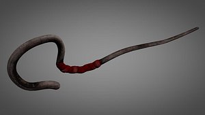 Free 3D Staff Models | TurboSquid