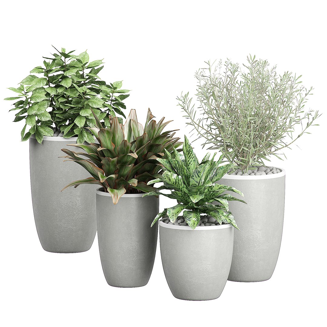 Flower Pack 101 Model - TurboSquid 1631564