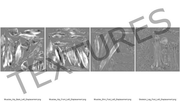 Female Anatomy Left Leg 3D - TurboSquid 1851805