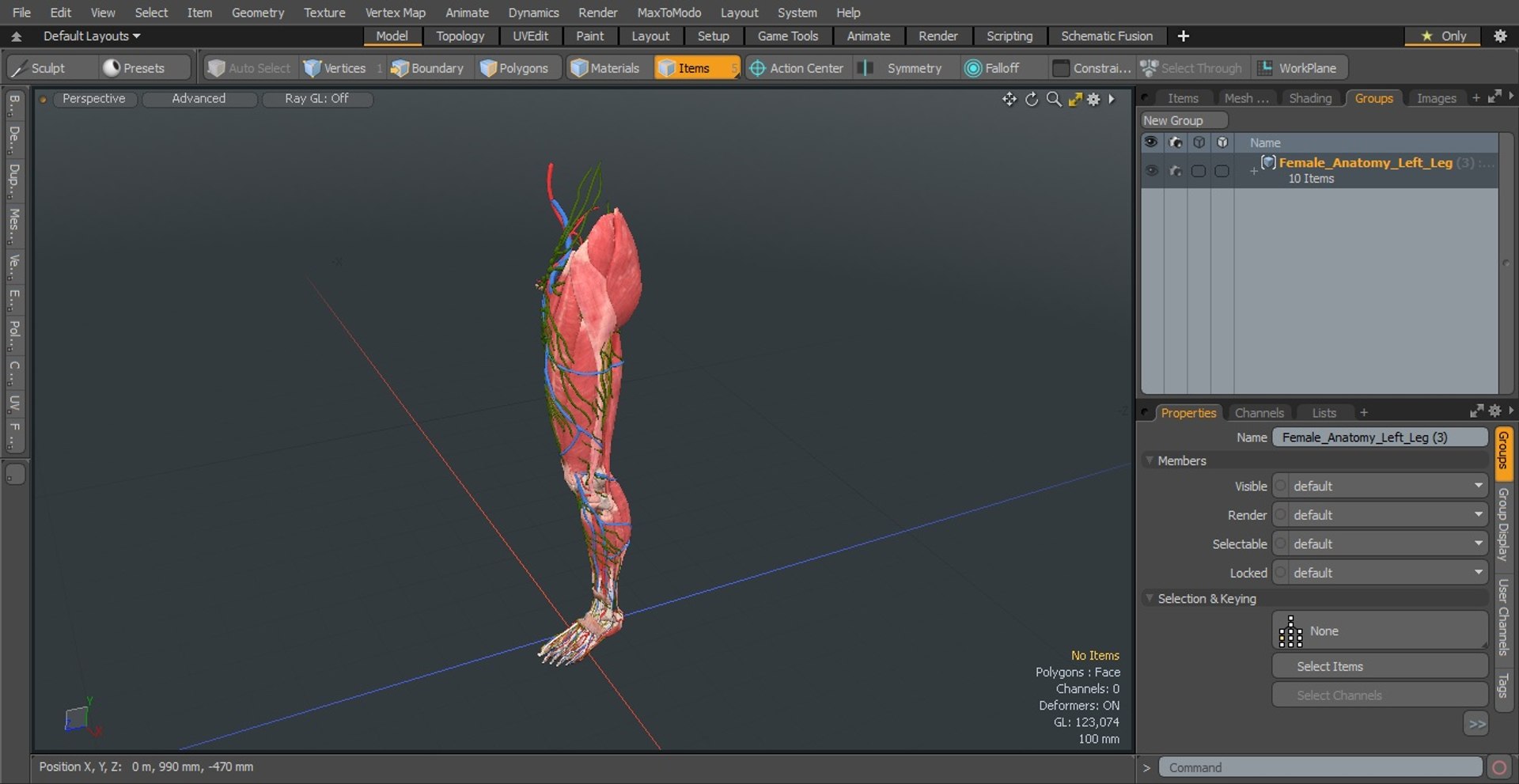 Female Anatomy Left Leg 3D - TurboSquid 1851805