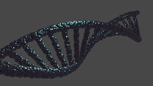 3D Adn Models - Browse & Download Formats - TurboSquid