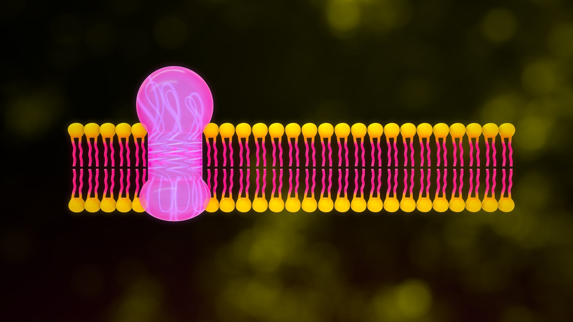 Rhodopsin Visual Purple 3D Model - TurboSquid 2187558