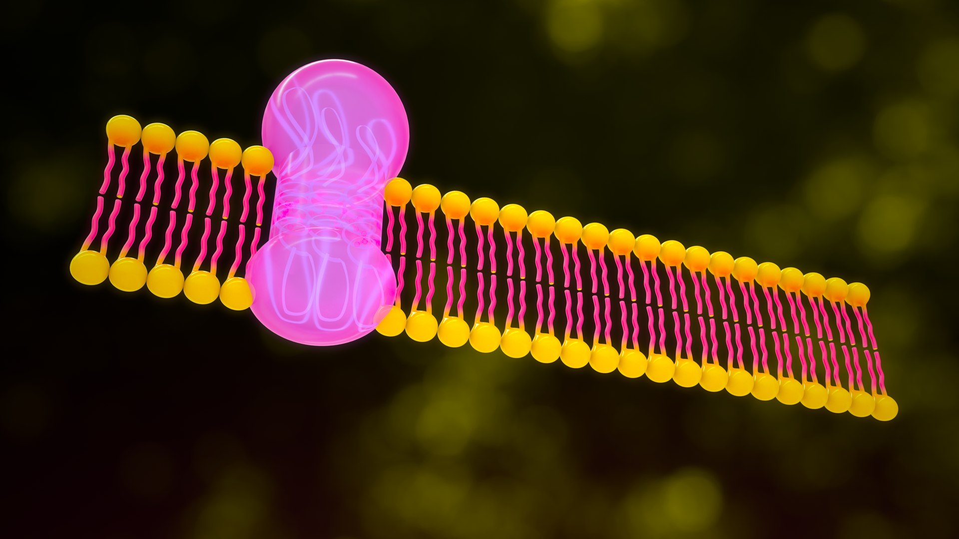 Rhodopsin Visual Purple 3D Model - TurboSquid 2187558