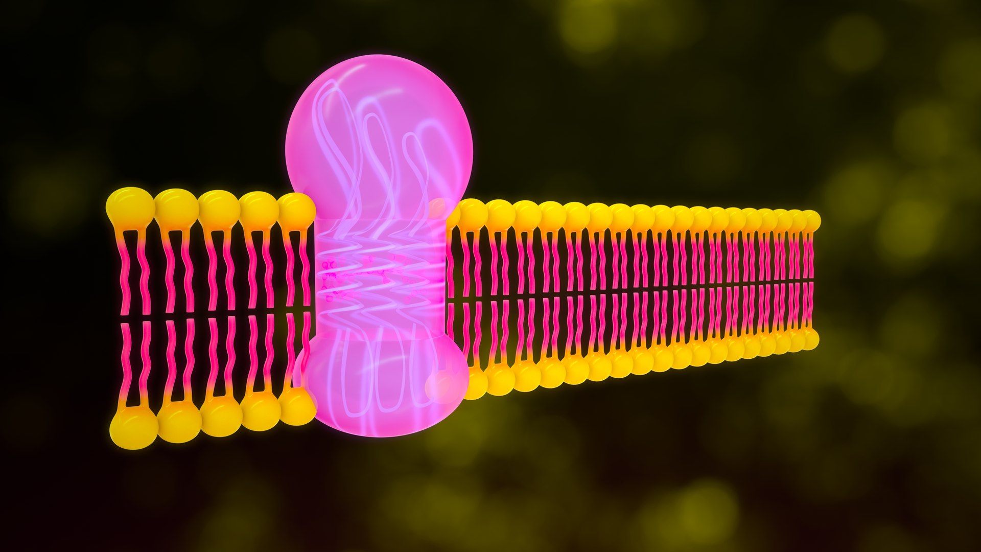 Rhodopsin Visual Purple 3D Model - TurboSquid 2187558