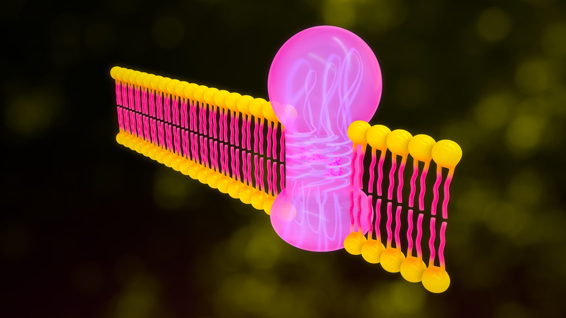 Rhodopsin Visual Purple 3D Model - TurboSquid 2187558