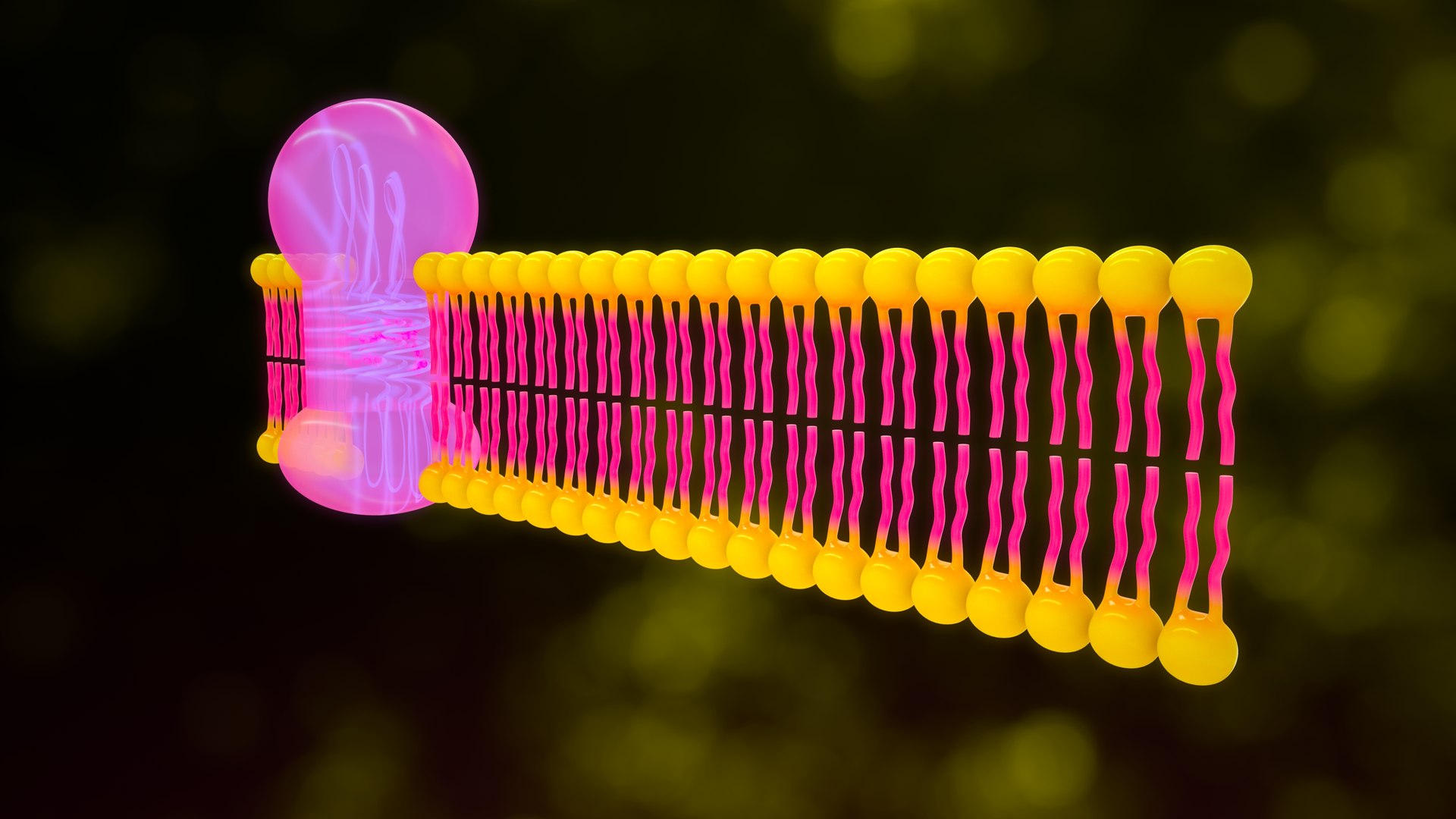 Rhodopsin Visual Purple 3D Model - TurboSquid 2187558