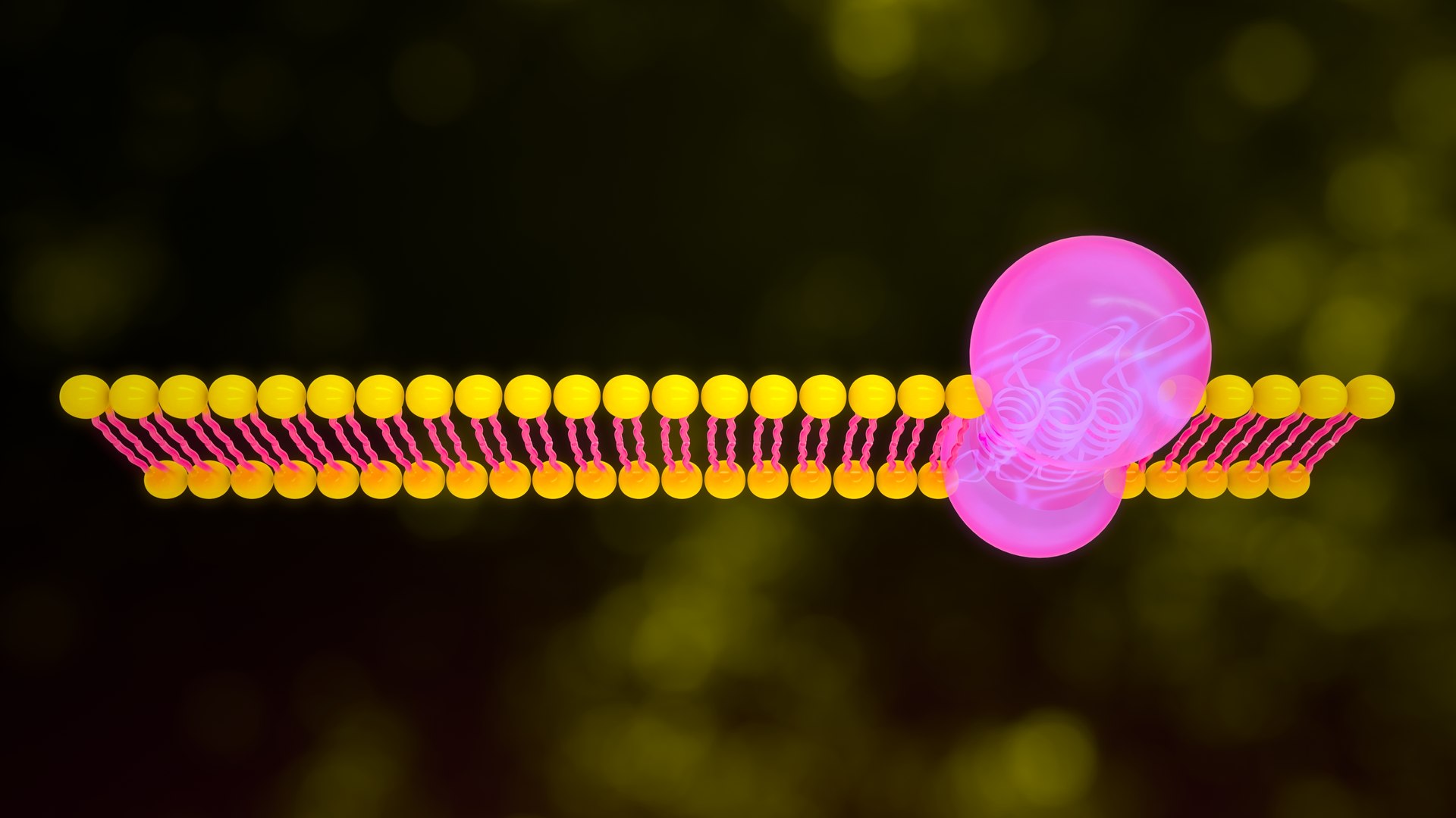 Rhodopsin Visual Purple 3D Model - TurboSquid 2187558