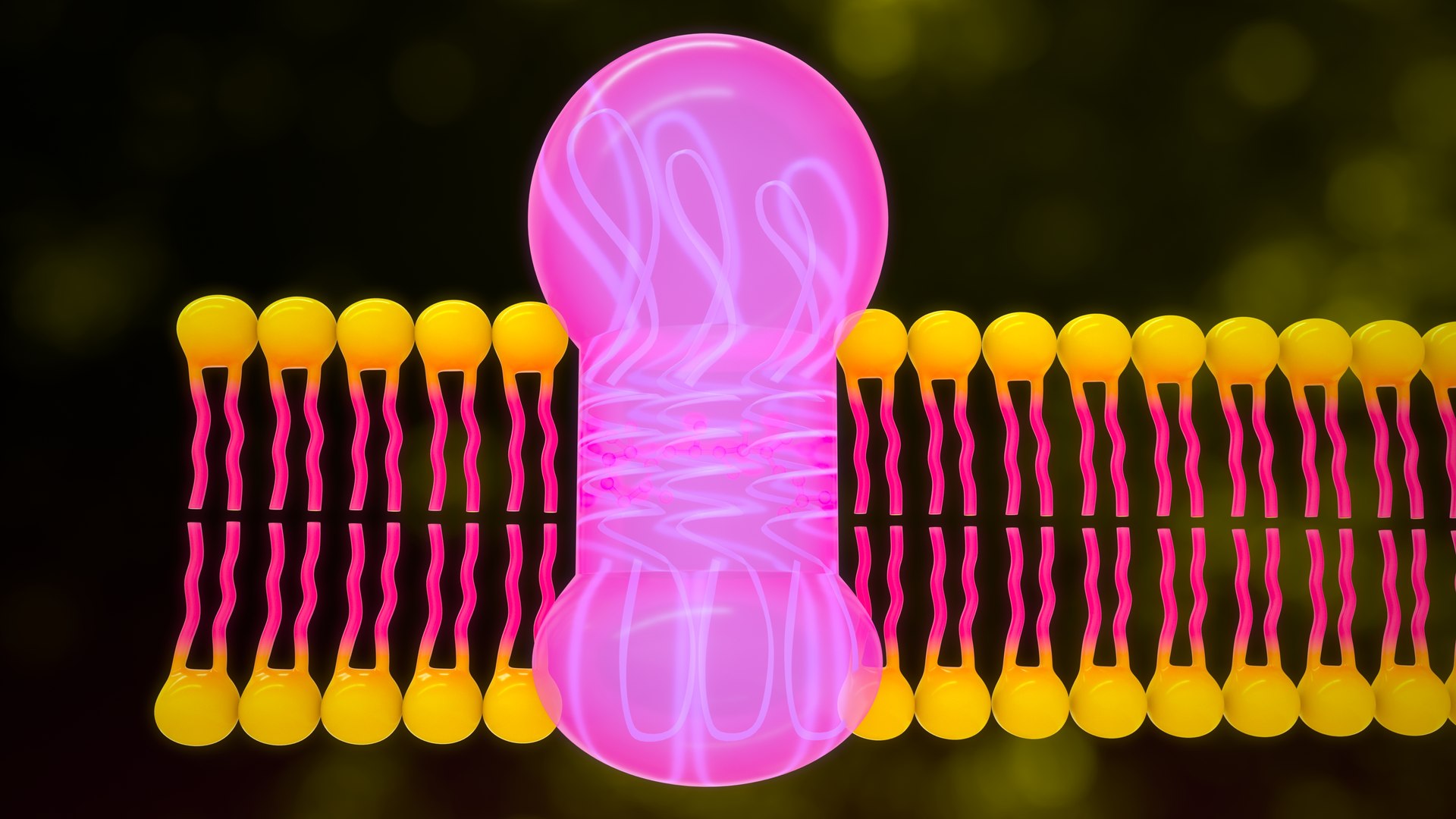 Rhodopsin Visual Purple 3D Model - TurboSquid 2187558