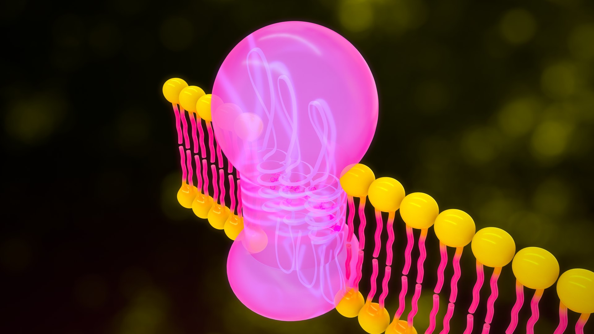 Rhodopsin Visual Purple 3D Model - TurboSquid 2187558